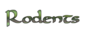 Category:Rodents | British Wildlife Wiki | Fandom