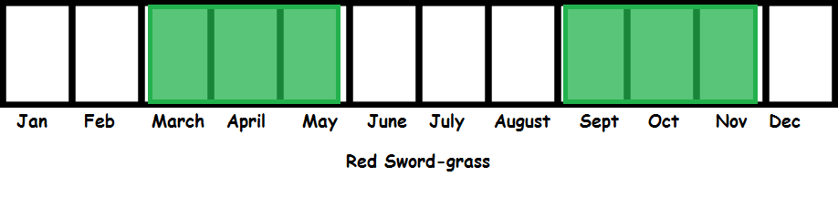 Red Sword-grass | British Wildlife Wiki | Fandom