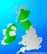 Red Squirrel | British Wildlife Wiki | Fandom