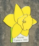 RSPB Badges | British Wildlife Wiki | Fandom