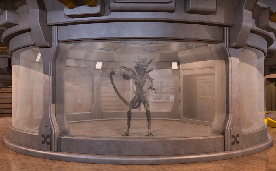 Xenomorph Warrior X Division Wiki Fandom