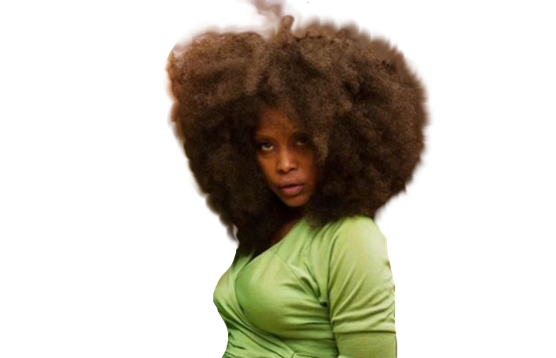 Erykah Badu | THEYoGabbaGabba! Wiki | Fandom
