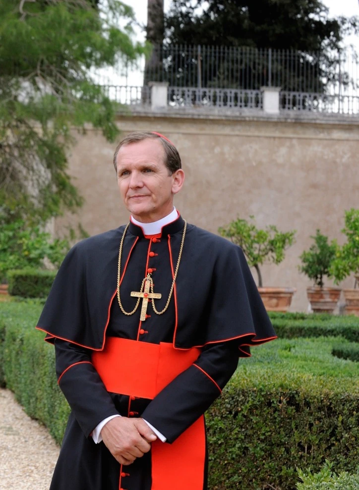 Cardinal Marivaux | The Young Pope Wiki | Fandom