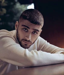 Zayn (Book) | ZAYN Wikia | Fandom