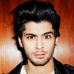Gallery | ZAYN Wikia | Fandom