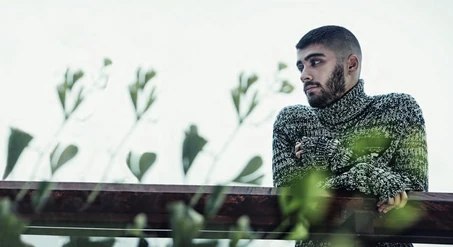 Zayn (Book) | ZAYN Wikia | Fandom