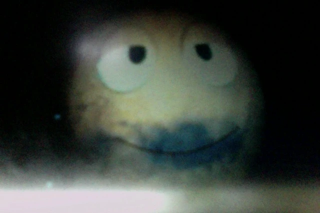 Mars (planet) | The Zula Patrol Wiki | Fandom