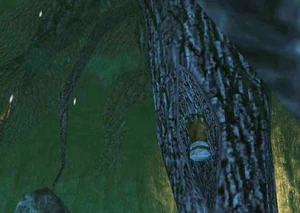 The Heartoak | Thief Wiki | Fandom