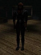 Assassin | Thief Wiki | Fandom