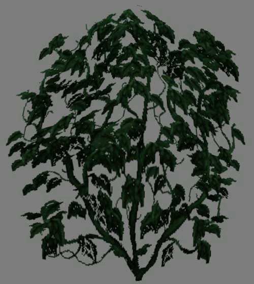 DromEd/Archetypes/Object (-1)/physical (-7)/Vegetation (-488)/Vines ...