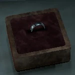 Ring | Thief Wiki | Fandom