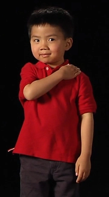 Meisorn | Thinking Moves Wiki | Fandom