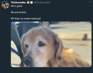 Kopi | Thinknoodles Wiki | Fandom