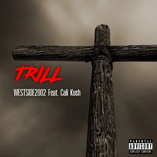Trill | T Hip Hop Wiki | Fandom