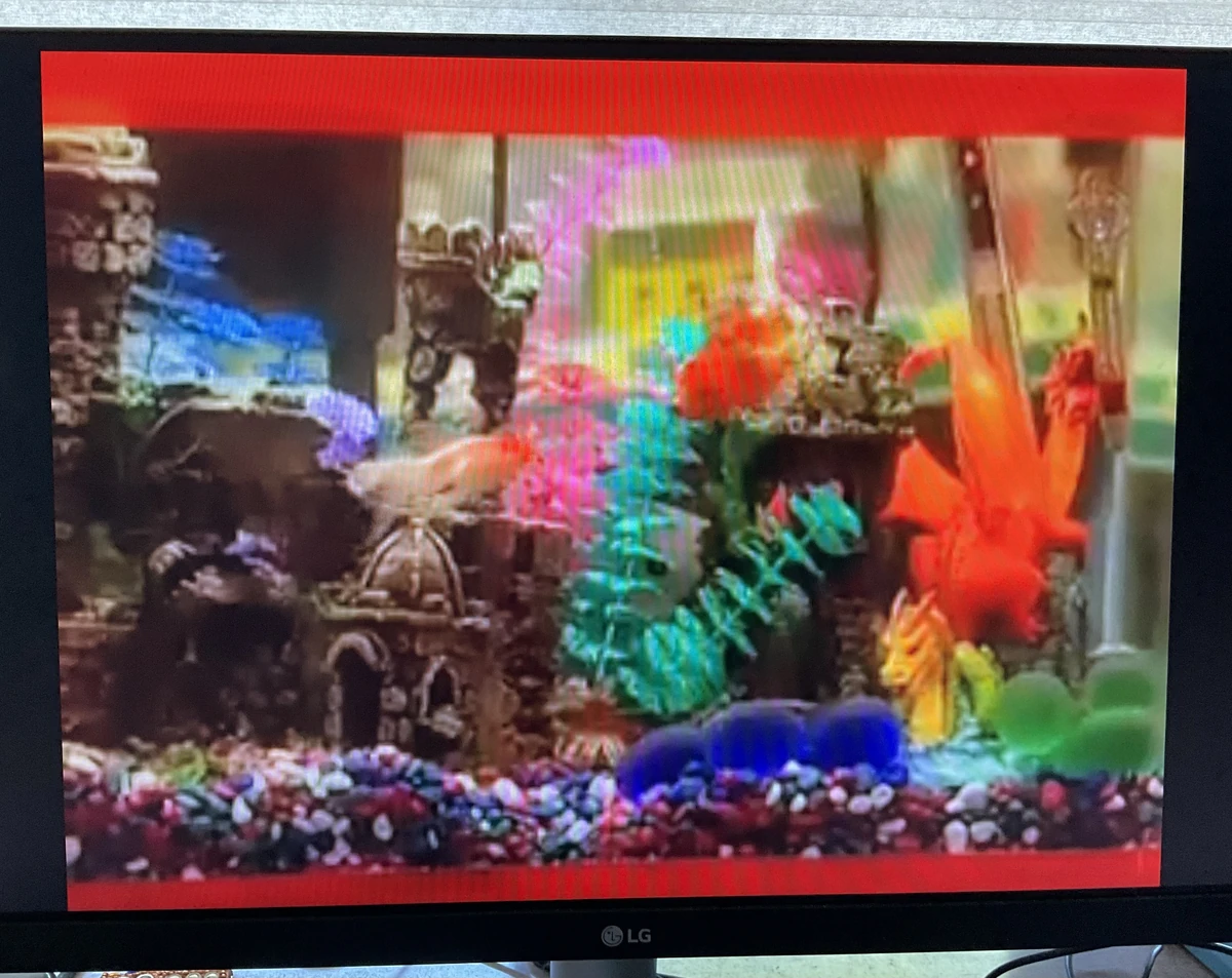 This is Daniel Cook./Gallery/Setting up an aquarium | This is Kids Wiki ...