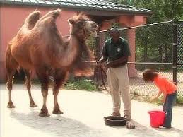 Gavin Small | This is Kids Wiki | Fandom