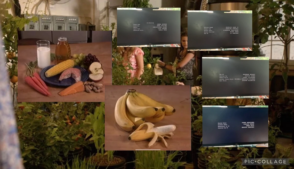 This is Daniel Cook./Gallery/With or without a zookeeper/Food and ...