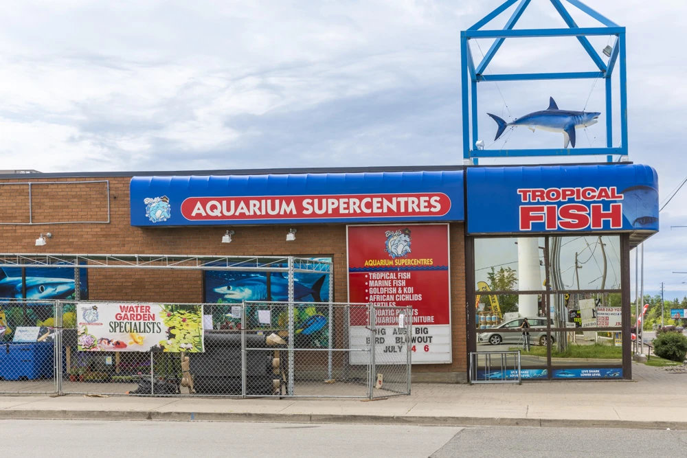 This is Daniel Cook./Gallery/Learning about fish/Countries around the ...