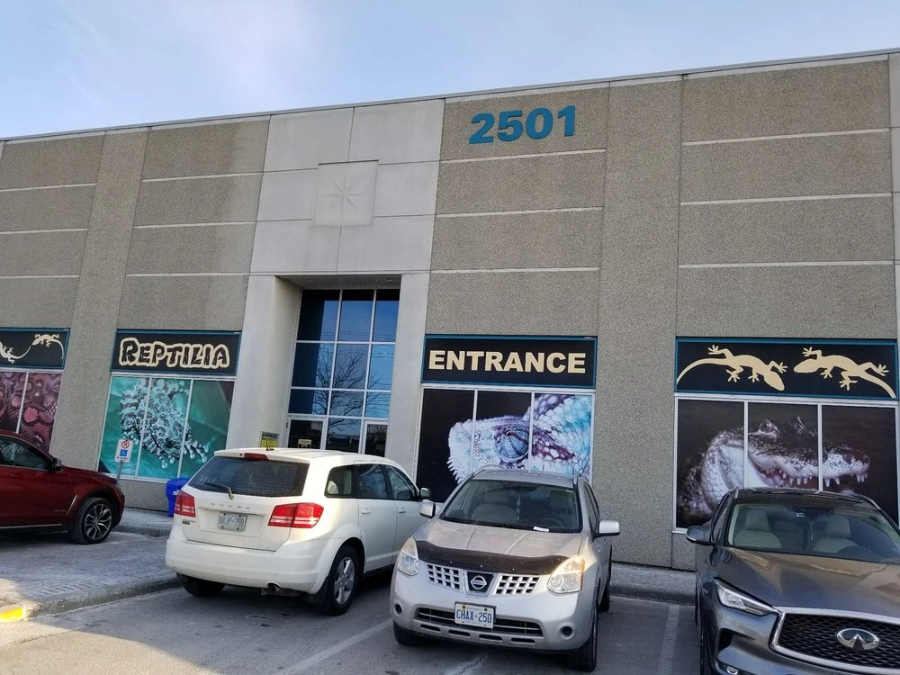 This is Scarlett and Isaiah./Gallery/Learning about reptiles/Countries ...