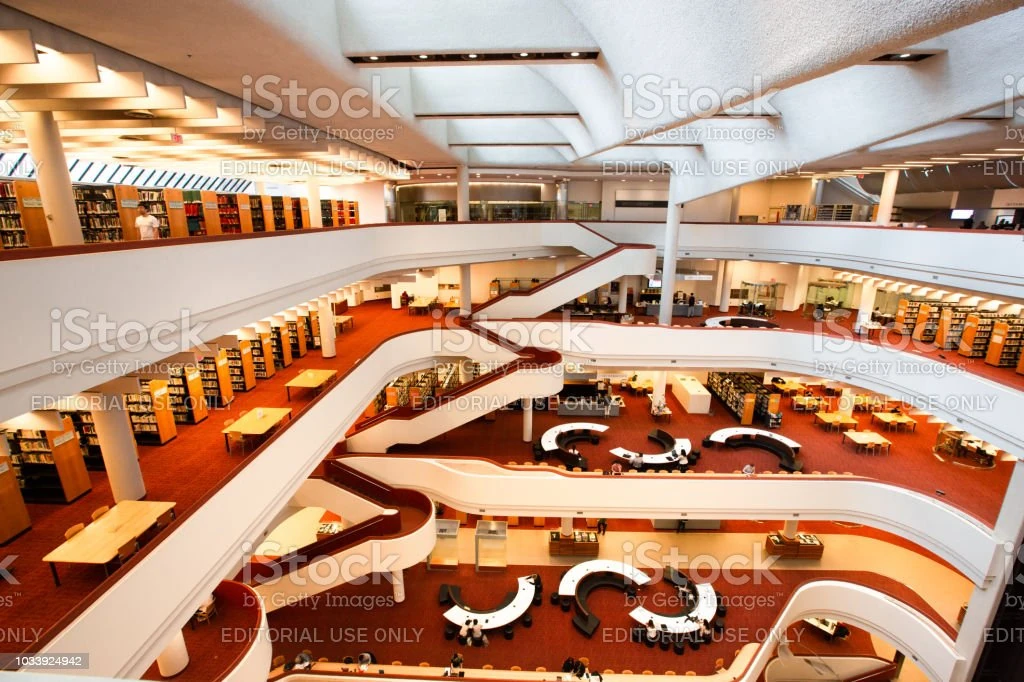 This is Emily Yeung./Gallery/Learning about snakes/At the library ...