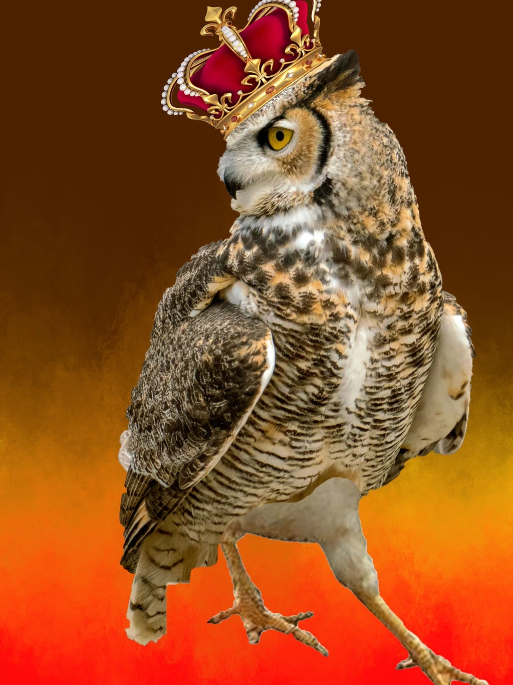 Stolas | This Isn't Normal! Wiki | Fandom