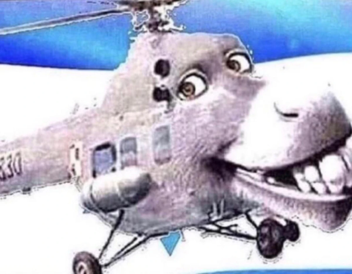 Donke plane | The Labyrinth Camp Wiki | Fandom