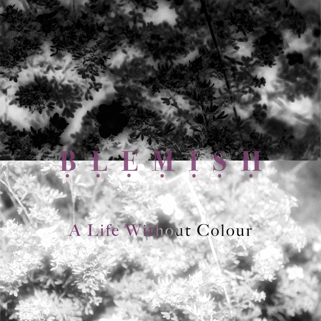 A Life Without Colour | Blemish Wiki | Fandom