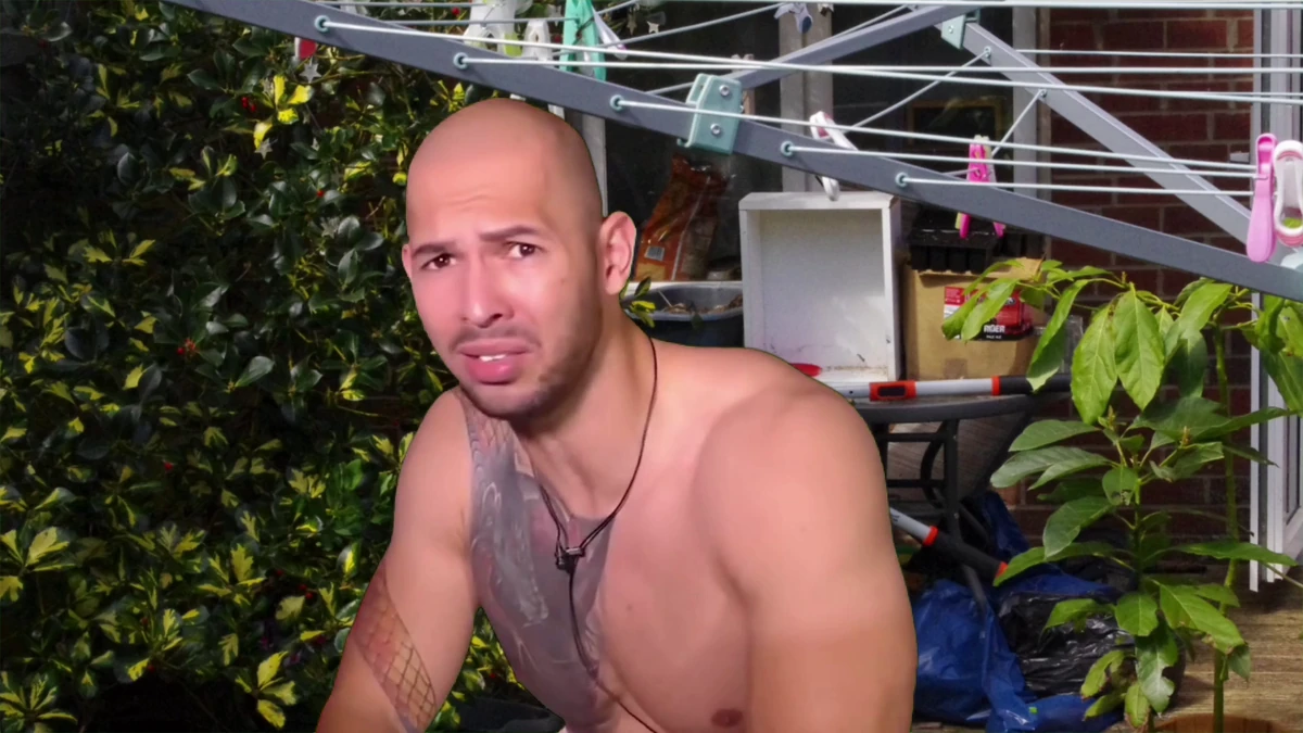 Andrew Tate | Thomanory Wiki | Fandom