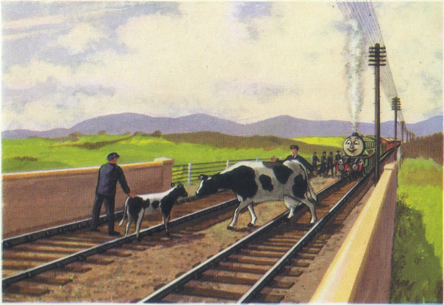 Cows! (RWS) | Thomas & Friends Encyclopedia Wiki | Fandom