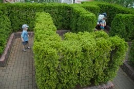 Thomas Maze | Thomas and Friends In Amusement Parks Wikia | Fandom