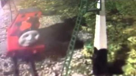 Missing Cars | Thomas And Friends US/UK Wiki | Fandom