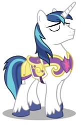 Shining Armor | Thomas and Twilight Sparkle's Adventures Wiki | Fandom
