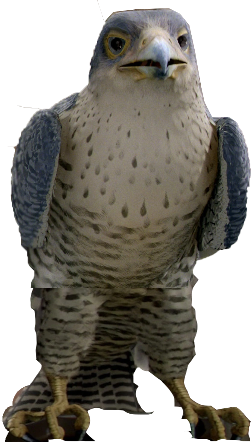 Falcon | Thomas and Twilight Sparkle's Adventures Wiki | Fandom