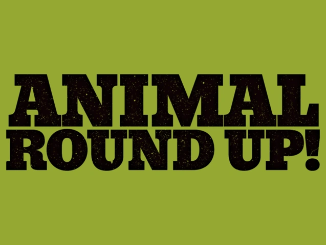 Belle & Flynn's Amazing Animal Roundup! | Thomas Creator Collective ...