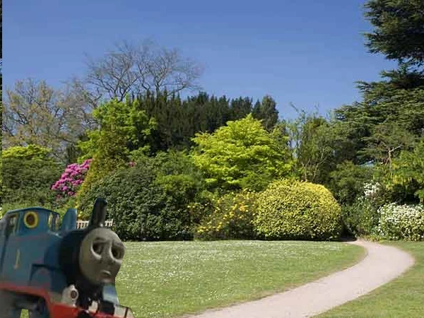 Shrubs | Thomas Made up Characters and Episodes Wiki | Fandom