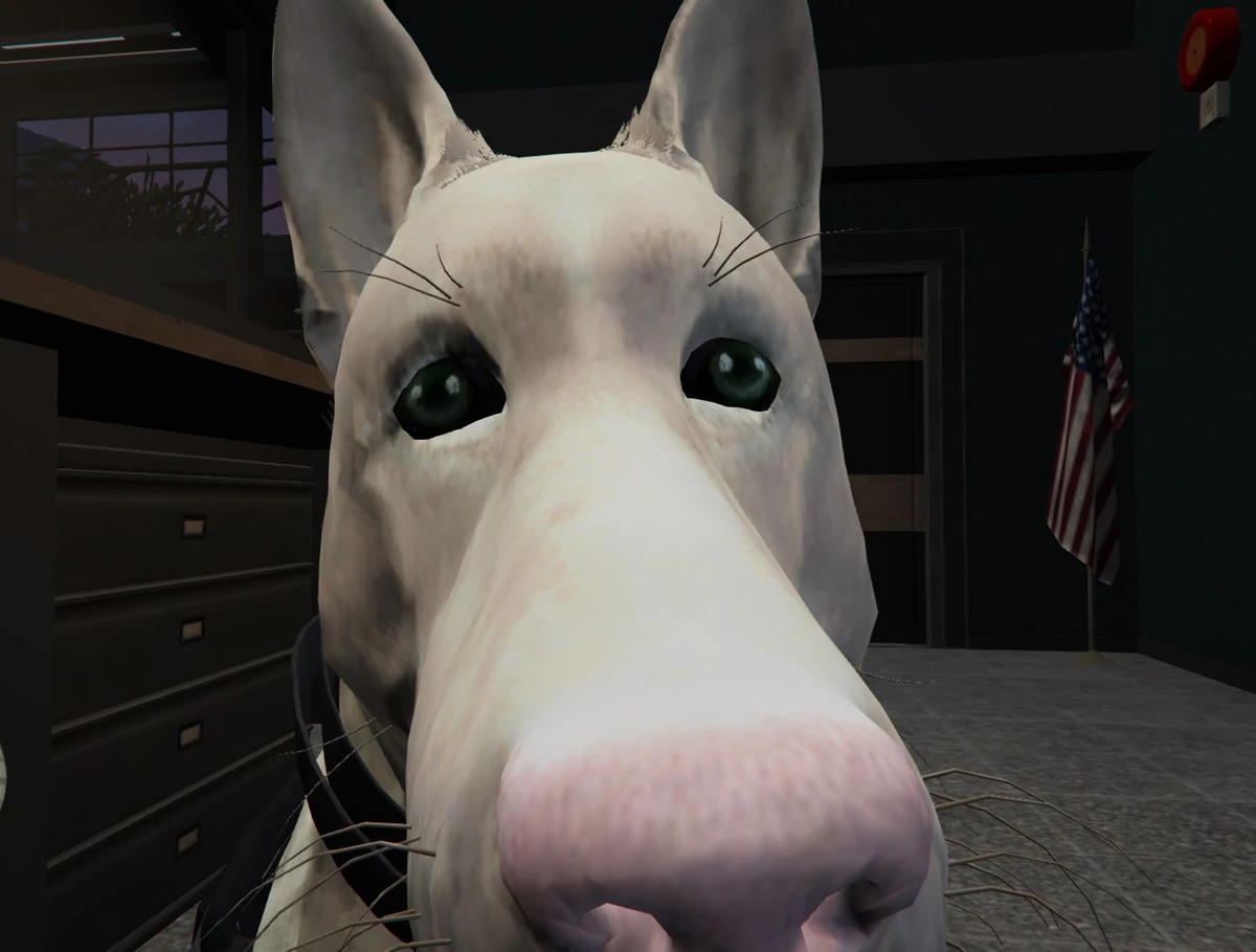 Ghost Bones | Thorne Haven Wiki | Fandom