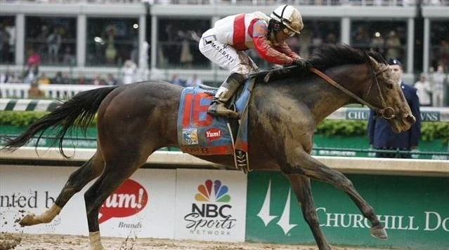 Orb | Kentucky Derby Wiki | Fandom