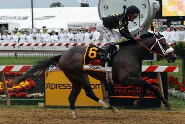Oxbow | Thoroughbred racing Wiki | Fandom