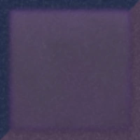 Stardust | Those Who Remain Wiki | Fandom