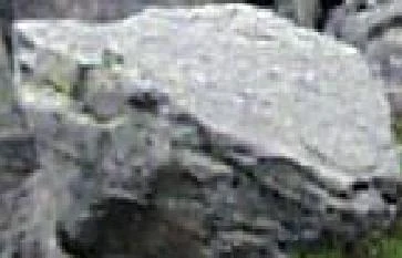 Terre | Wiki Thotmès-Thotta | Fandom