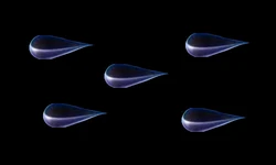 Droplets | Three Body Problem Wiki | Fandom