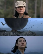 Ye Wenjie | Three Body Problem Wiki | Fandom