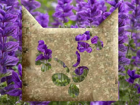 Driftclan | Three Clans RP Wiki | Fandom