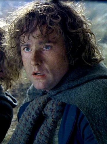 Long-cleeve Clan | Three Hobbit Ladies and a Ring Wiki | Fandom