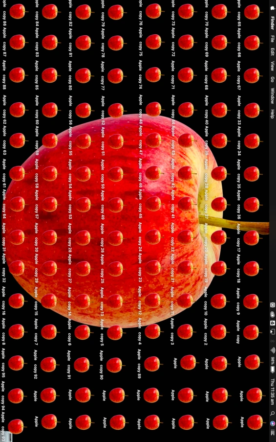 Apples | Throarbin Wiki | Fandom