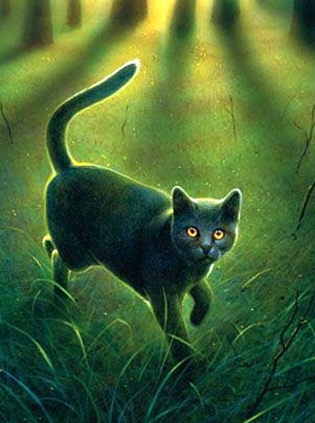 Gray Wing | Thunder Rising Warrior Cats Wiki | Fandom