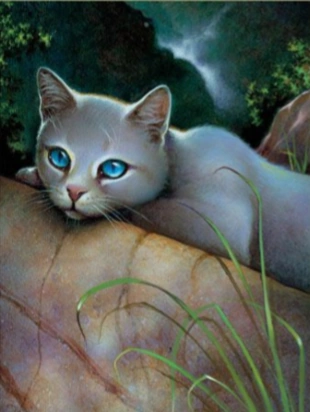 Skystar | Thunder Rising Warrior Cats Wiki | Fandom