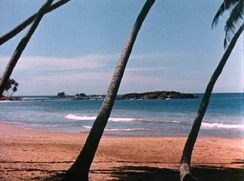 Tracy Island | Thunderbirds Wiki | Fandom