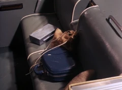 Harry Malloy | Thunderbirds Wiki | Fandom