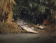 Giant Alligators | Thunderbirds Wiki | Fandom